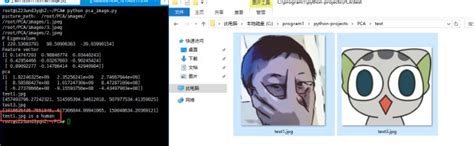 维数灾难问题及数据分析中的降维方法 超高维数据 数据维数远大于样本数 的降维该如何处理 csdn博客