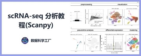 Scanpy 分析 3k Pbmcs：寻找 Marker 基因 阿里云开发者社区