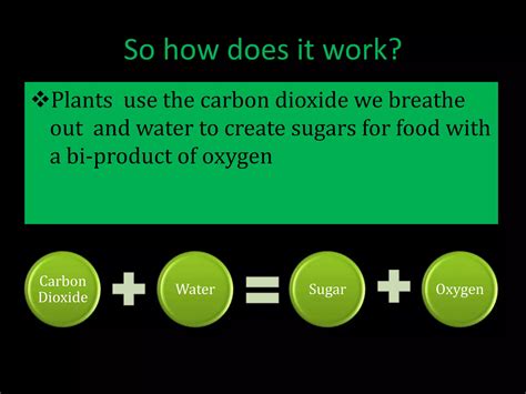 Photosynthesis Ppt Pptx Chemistry Science