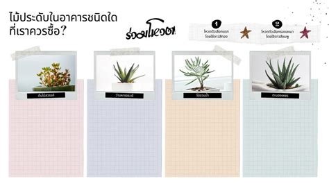 เครื่องมือสร้างโฟลว์ชาร์ตฟรี วิธีสร้างโฟลว์ชาร์ตออนไลน์ Canva