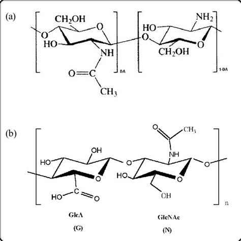 Chemical Structure Of The Repeat Unit Of Chitin When Chemical