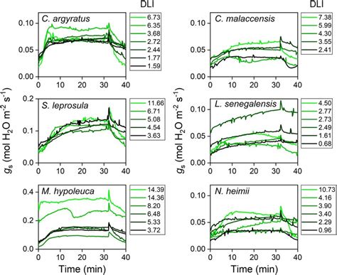 The Time Courses Of The Measured Stomatal Conductance G S Of Six