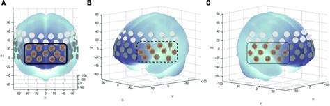Anatomical Areas Of The Brain Measured By Fnirs The Numbers In