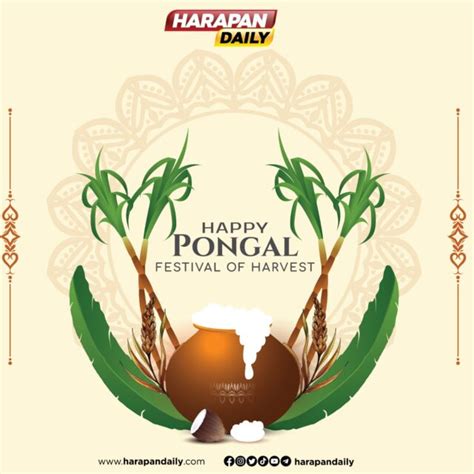 Happy Pongal From Harapan Daily Harapan Daily