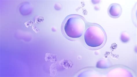 Intensified Fed Batch Culture