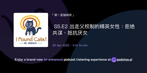 S5 E2 出走父权制的精英女性：拒绝共谋、抵抗厌女 啊！ 是猫咪呀！ Podwise