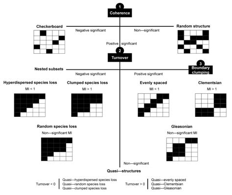 Schematic Representation Describing Leibold And Mikkelsons 2002