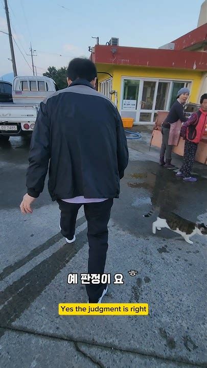 고양이와 악수를 하는 분 남해 길고양이 먹방 고양이 츄르 Youtube