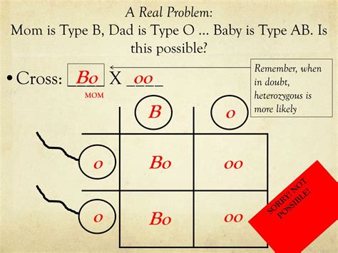 PPT Blood Type And Sex Linked Inheritance PowerPoint Presentation Free Download ID