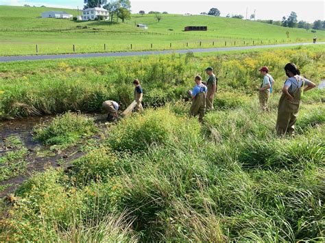 Celebrate Riparian Forest Buffer Month Getting More On The Ground