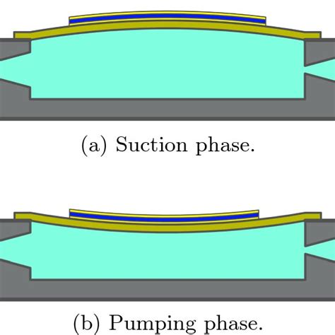 Operation Of A Piezoelectric Micropump Download Scientific Diagram