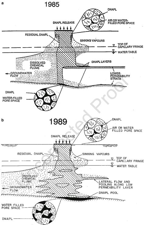 1 A Schematic Distribution Of Dnapl In Porous Media Representative Download Scientific