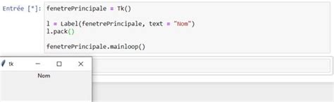 Tuto Python And Tkinter Réaliser Un Formulaire Dinscription Tutoriel Python