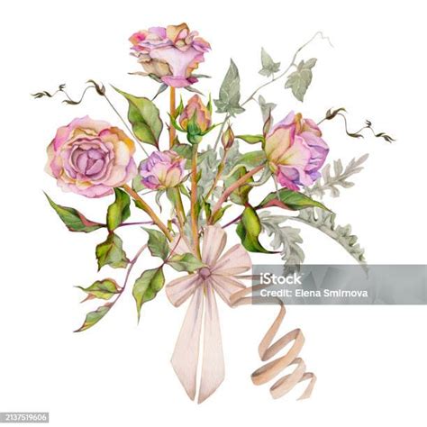 손으로 그린 수채화 그림 초라한 Boho 식물 꽃 잎 더스티 핑크 티 로즈 담쟁이덩굴손 나비 넥타이가 달린 은색 시네라리아 꽃다발 고립 된 흰색 배경입니다 디자인 웨딩 러브