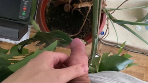 Watering The Tree In The Office Xxx Mobile Porno Videos Movies IPornTV Net