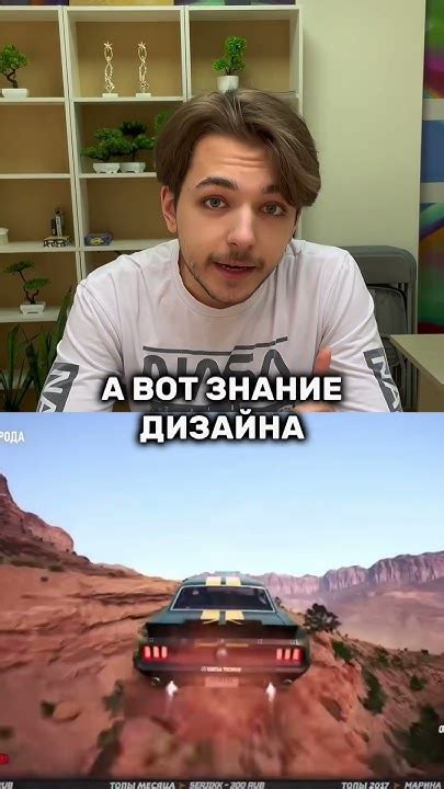 Мифы о программировании и программистах 👨‍💻 программирование