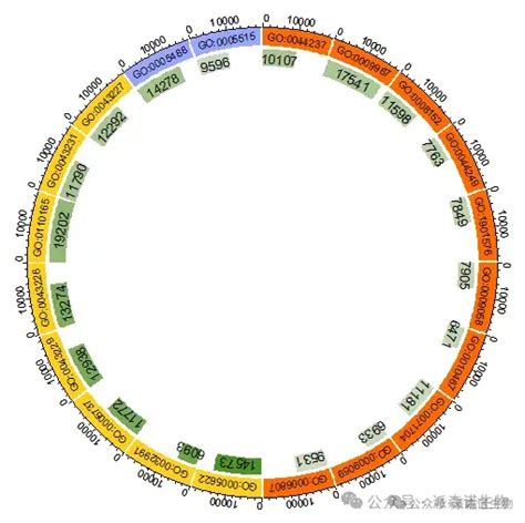 单细胞高分图片复现（独家代码附上）之系列（三）： 高分主fig 富集分析圈图 知乎