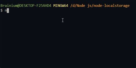 libraries for using localstorage in your node js project