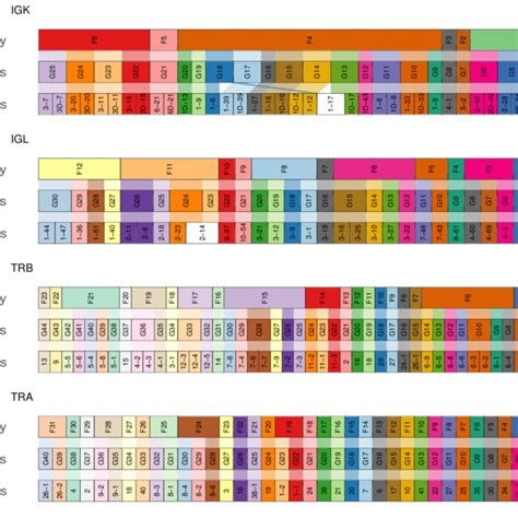 Allele Clusters For V Genes From Iglk And Trba Loci Each Alluvial Download Scientific Allele Clusters For V Genes From Iglk And Trba Loci Each Alluvial Download Scientific