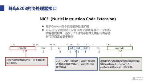 蜂鸟e203低功耗机制和可扩展协处理器 nuclei rv大学计划 risc v mcu中文社区