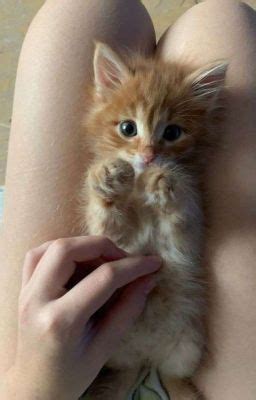 Truyện Thô Tục Chat Sex Với Top Donate taolaotruyen