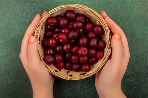 12 Manfaat Buah Ceri Untuk Kesehatan Bisa Mengatasi Insomnia