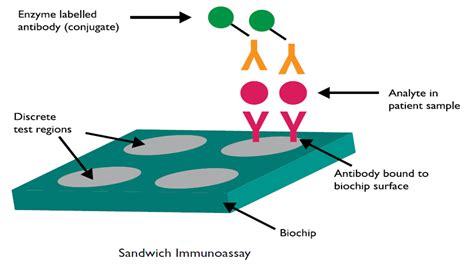 Virtual Lab Tour Biochip Array Analyzer