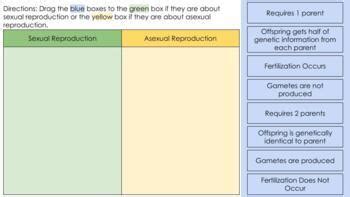 Asexual Vs Sexual Reproduction Drag And Drop Google Slides By Science City