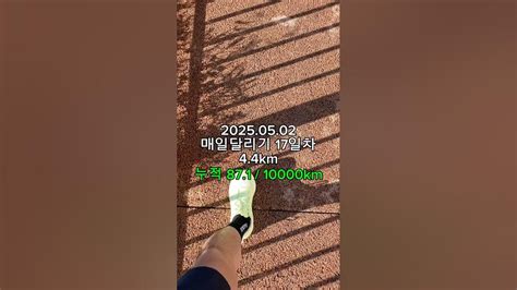 매일달리기 17일차 달리기 오운완 나를살게하는것들 Youtube