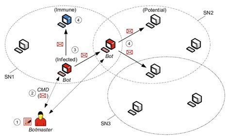 The General Process Of Ss Botnets Propagation Download Scientific