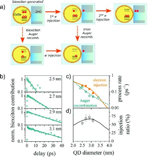 A Electron Injection And Auger Recombination Processes Present In A