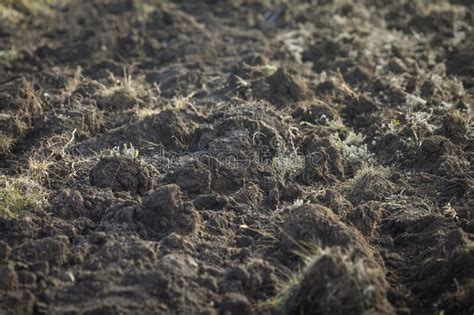 Shallow Depth Of Field Selective Focus Details With Tillage Land During A Tree Planting Activity