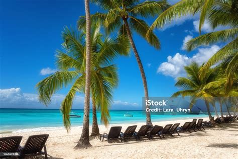 하얀 모래 코코넛 야자수 바다와 푸른 하늘 야외 여행 배경 여름 휴가 개념 자연 벽지가 있는 놀라운 열대 낙원 해변 카리브해 요리 도미니카 공화국 0명에 대한 스톡 사진 및
