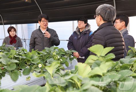 권재한 농촌진흥청장 딸기 생육 상황 점검 뉴스1