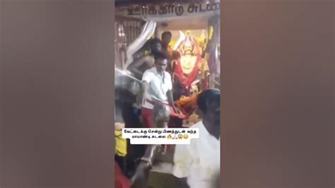 திருநெல்வேலி வீரவநல்லூர் சுடலைமாடசாமி கோவில் கொடை விழாவில் வேட்டைக் சென்று பிணத்துடன் வந்த சுடலை