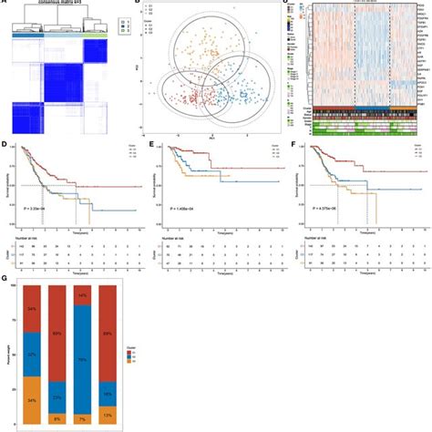 Aging Genomic Profiles Identify Three Molecular Phenotypes In Gastric