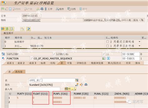 关于改造维护工单bapialmordermaintain用于生产订单组件批量修改（三） Csdn博客