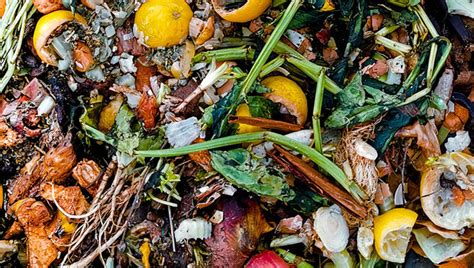 Compost Ingredients List For Composting Made Easy