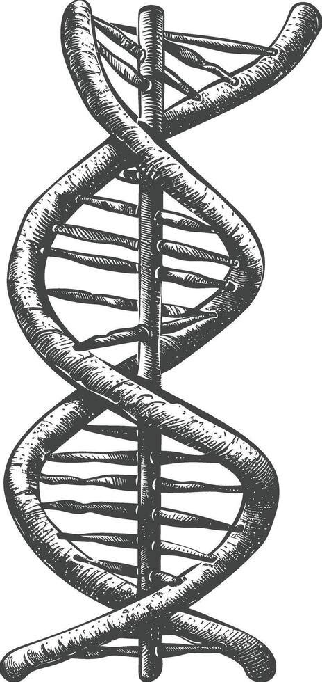 Gene Dna Mutation Symbol With Engraving Style Black Color Only 46012138