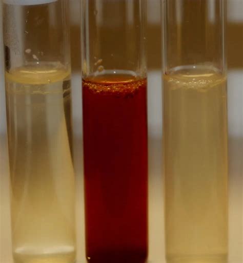 Nitrate Reduction Test 73426 Nitrate Reduction Test Sigma Aldrich