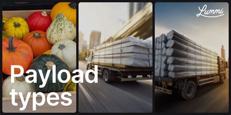 Payload Types Images — Free Hd Download On Lummi