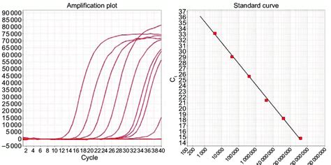 Sensitivity Test Of The Taqman Real Time Rt Pcr Method The