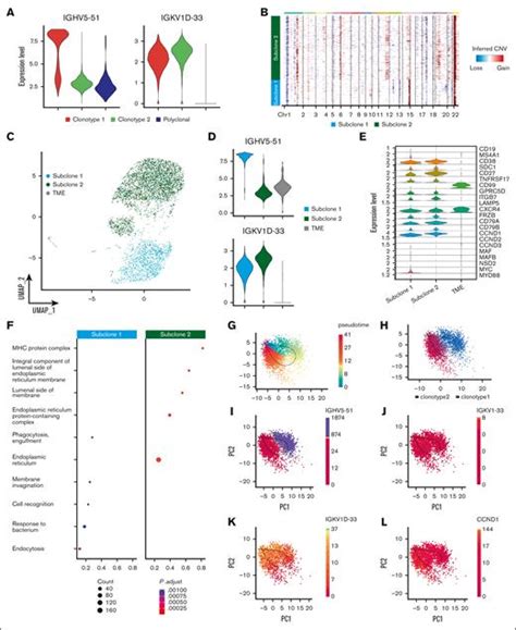 Inference Of Genomic Lesions From Single Cell Rna Seq In Myeloma