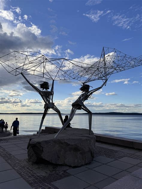 Петрозаводск добро пожаловать в столицу Карелии 🧭 цена экскурсии 990 ₽ 22 отзыва расписание