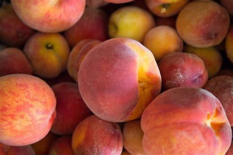Peach Free Stock Photo Public Domain Pictures