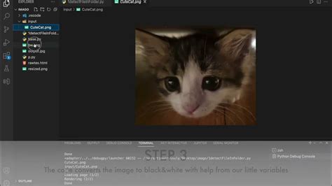 Image To Ascii Using Python Youtube