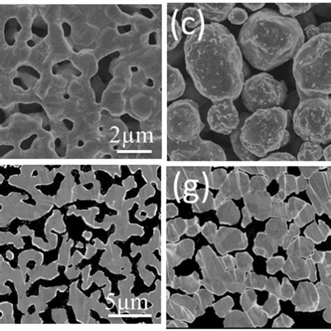 The Sem Image Of Sintered Ag Surface With A Nanoparticles B