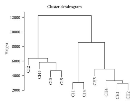 Unsupervised Hierarchical Clustering Unsupervised Hierarchical Cluster