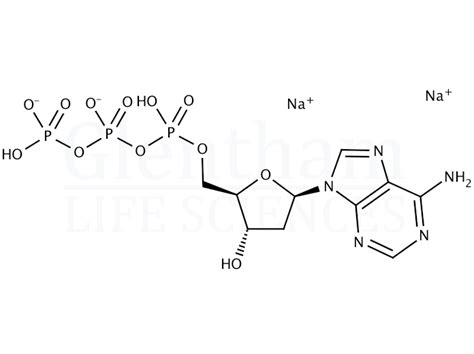 2 Deoxyadenosine 5 Triphosphate Disodium Salt Datp Cas 74299 50 6 Glentham Life Sciences