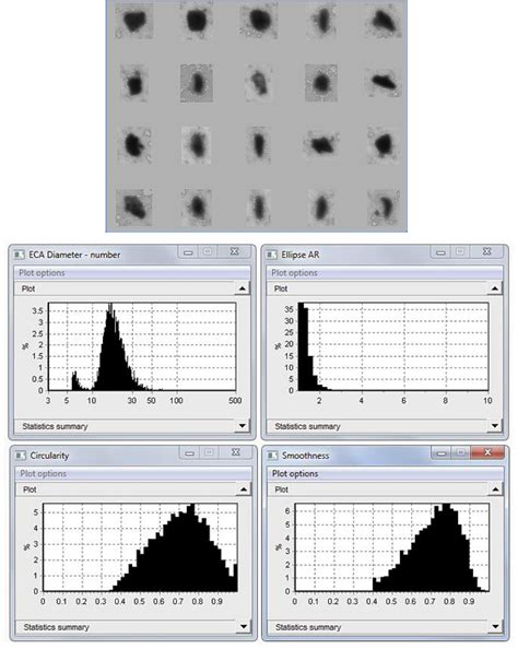 How Different Particle Shapes Impact Results Using Different Techniques